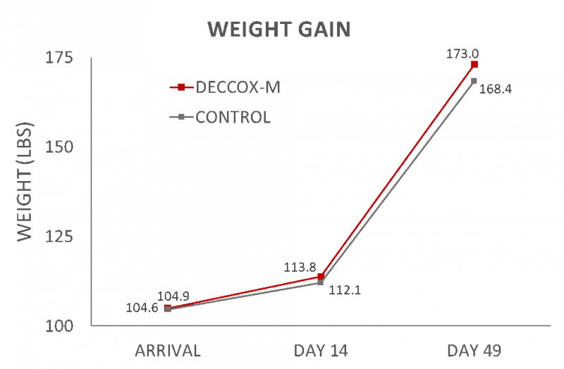 Feeding Deccox-M in milk replacer - Mapleview Agri