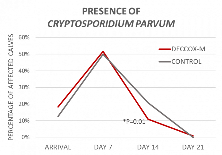 Feeding Deccox-M in milk replacer - Mapleview Agri