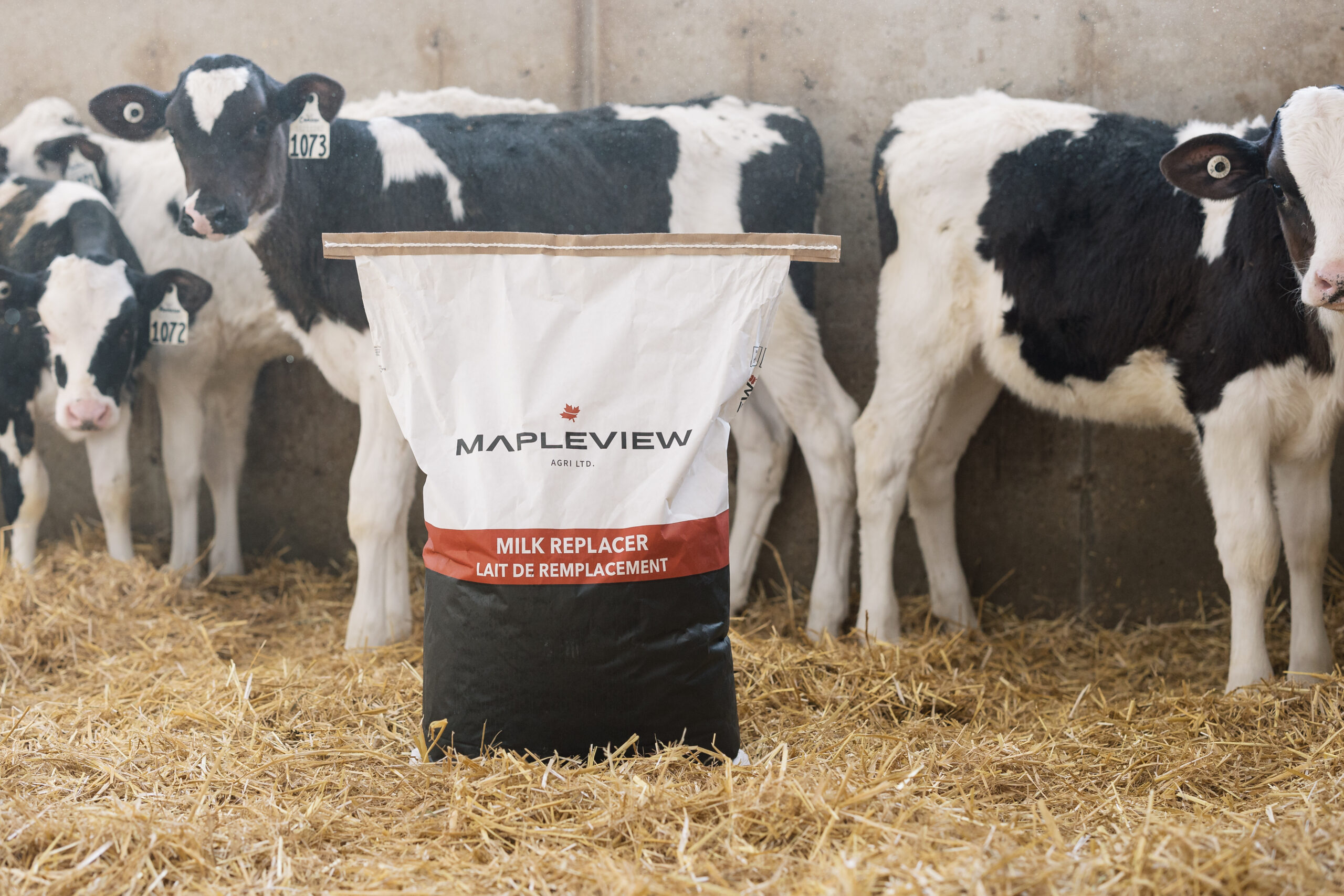 Future Performance Is: Mapleview Milk Replacer - Mapleview Agri
