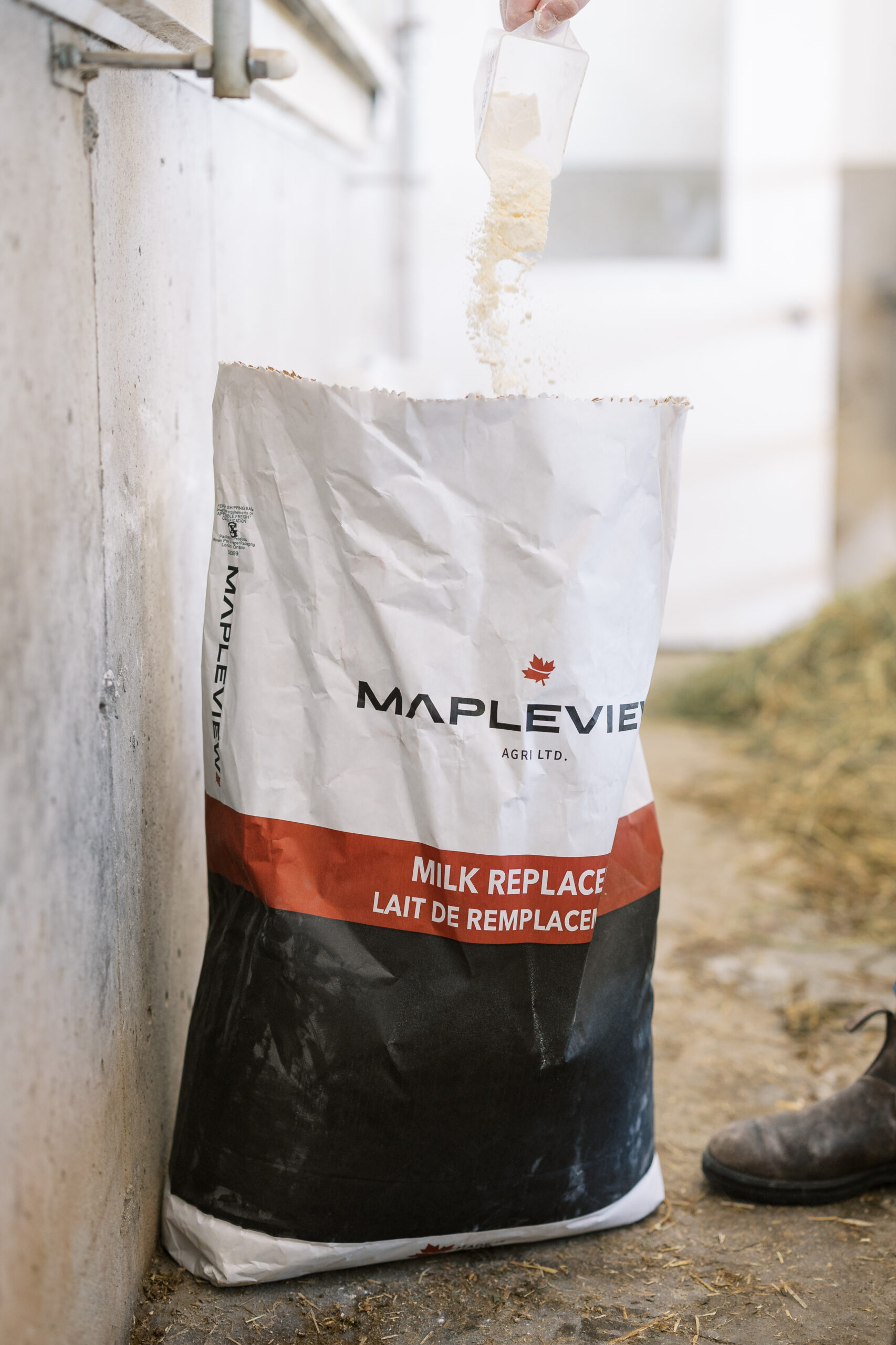 Precision Start - 3 Week Milk Replacer Study - Mapleview Agri